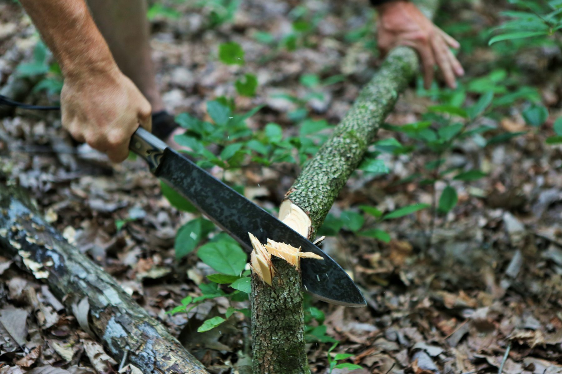 Is it Legal to Own a Machete in Queensland?